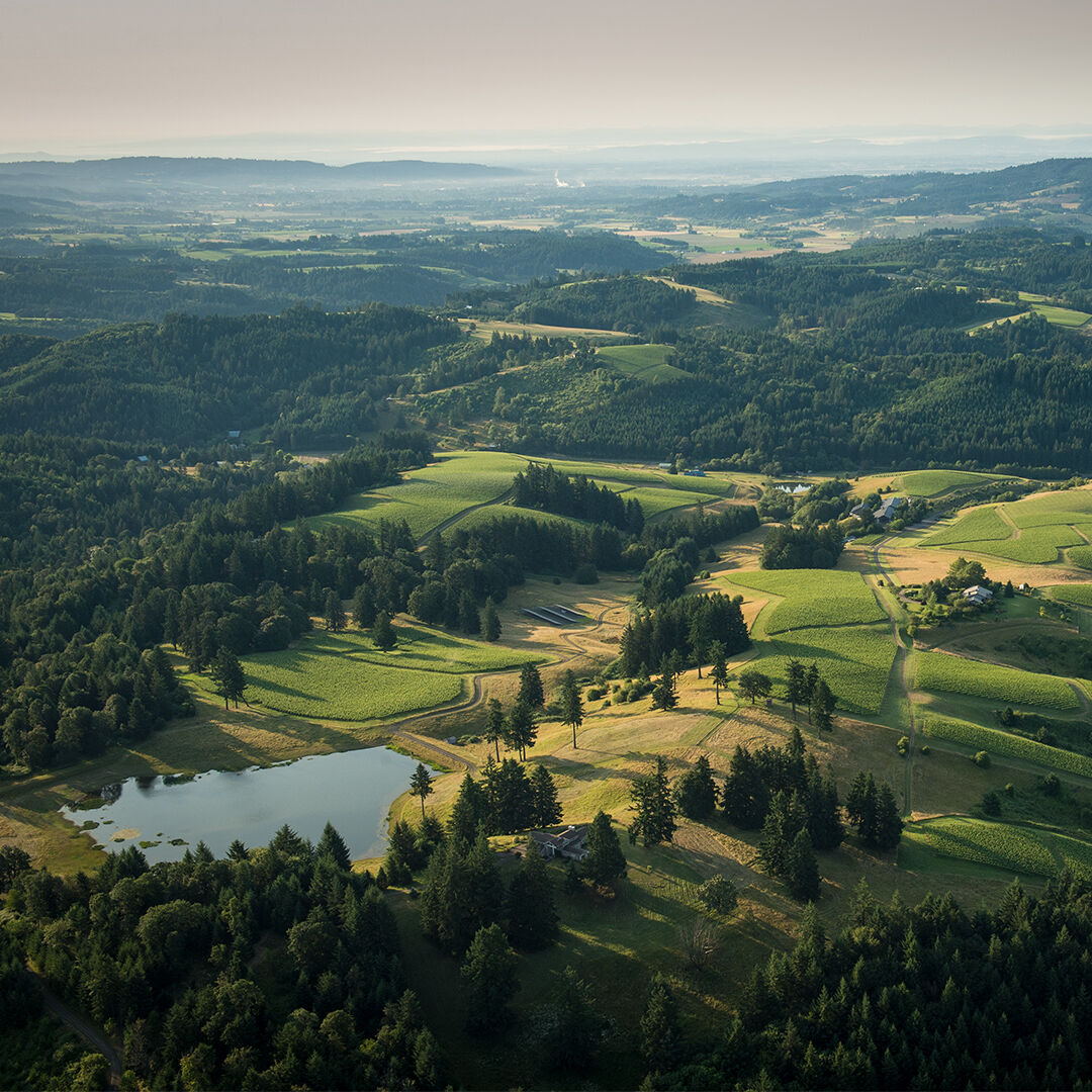 About Our Estate | WillaKenzie Estate